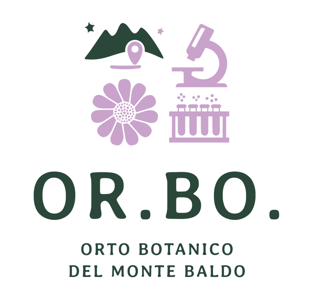 OR.BO. – Novezzina